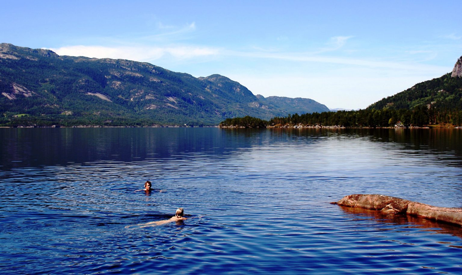Sommeraktiviteter – Fiskebekk